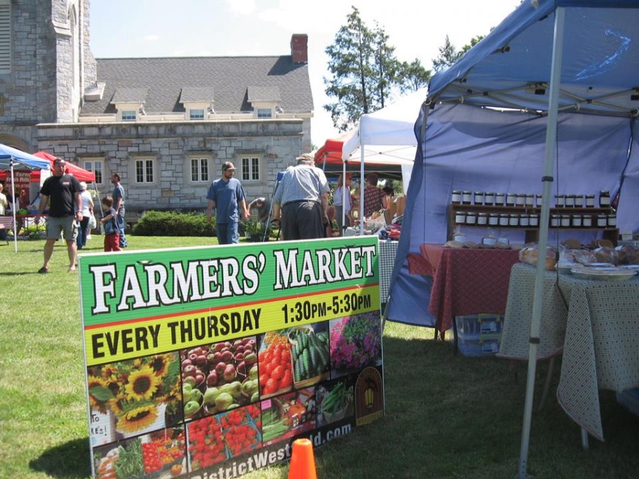 Westfield Farmer's Market Archives - The Westfield News