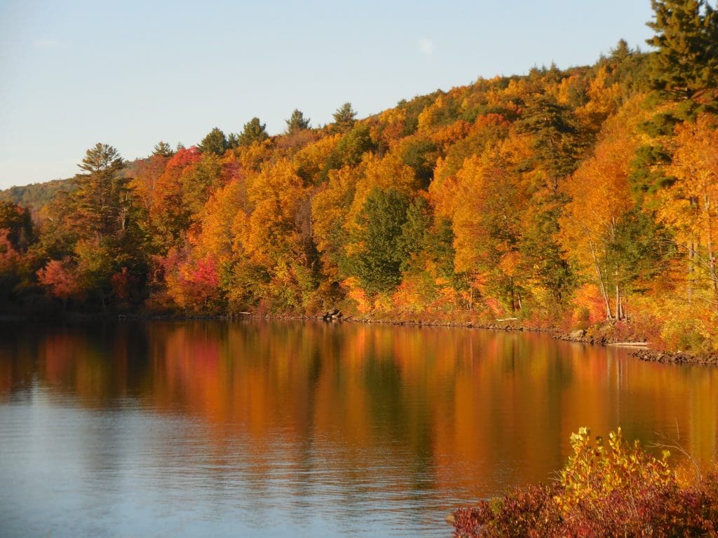 GEF announces project funding and Homecoming Weekend plans | The ...