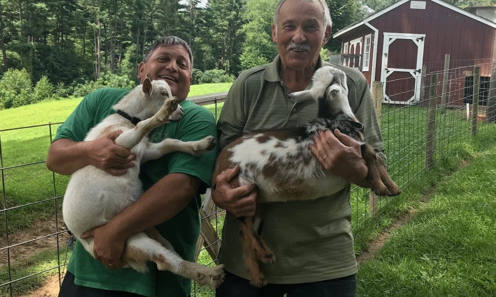 First ever farm parade coming to Southwick | The Westfield News |August ...