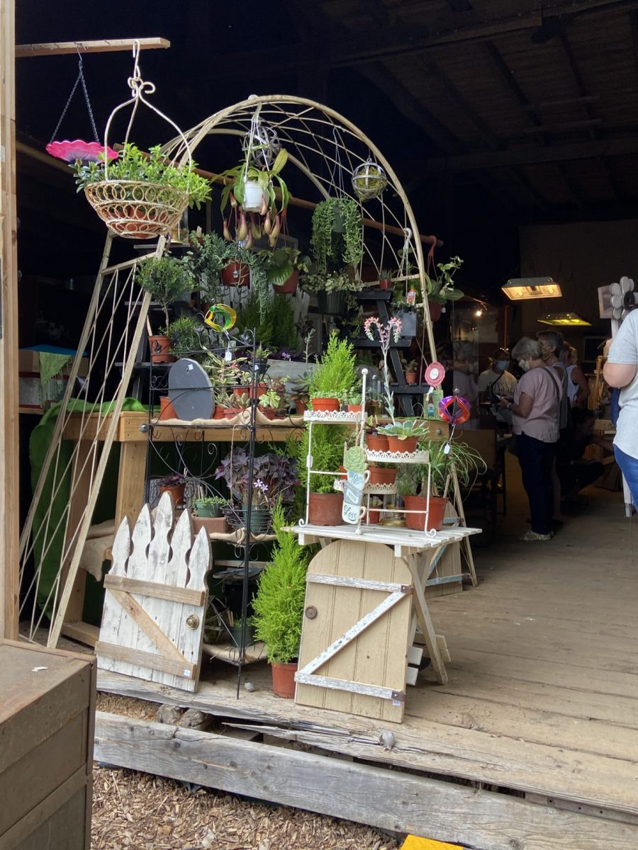 Daytripper: Pickers' paradise at Bayer Farm | The Westfield News |July ...