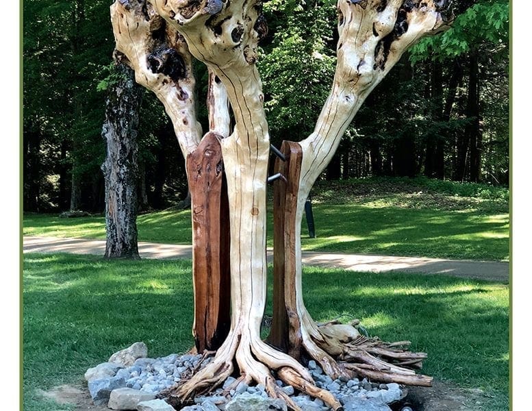 Planning Board looks to bring Harold Grinspoon tree sculpture to ...