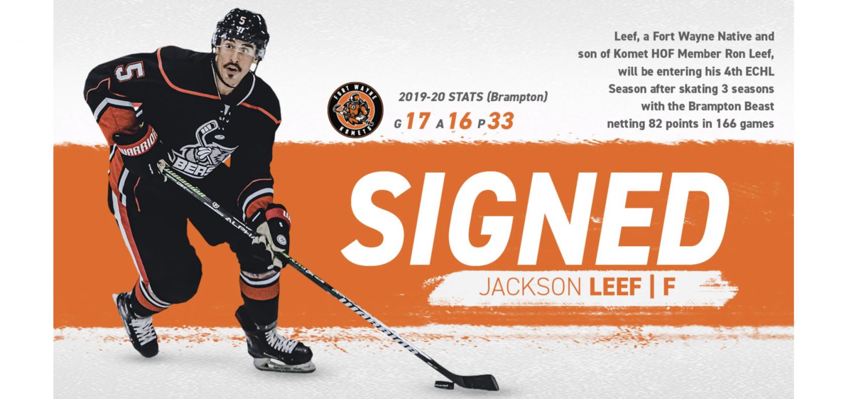 Owls' alumnus Leef comes full circle; will play pro hockey in his ...