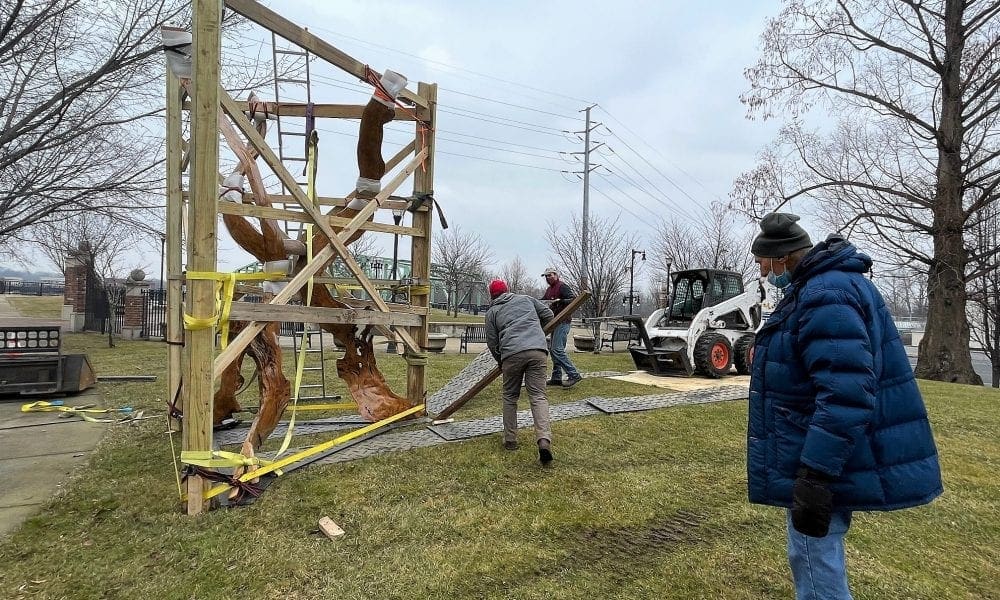 Tree sculpture installation | The Westfield News |January 15, 2021