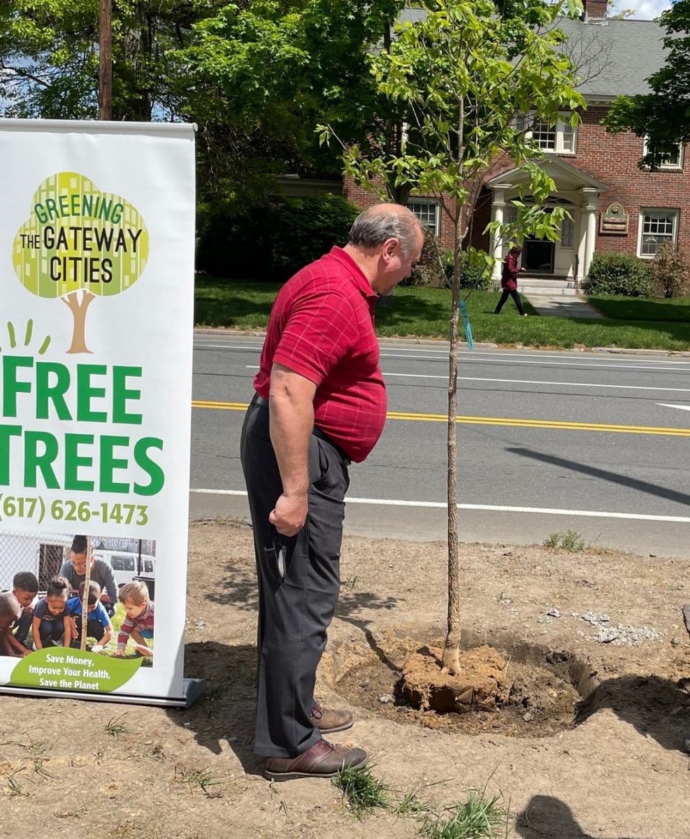 Tree planting program begins in Westfield | The Westfield News |May 15 ...